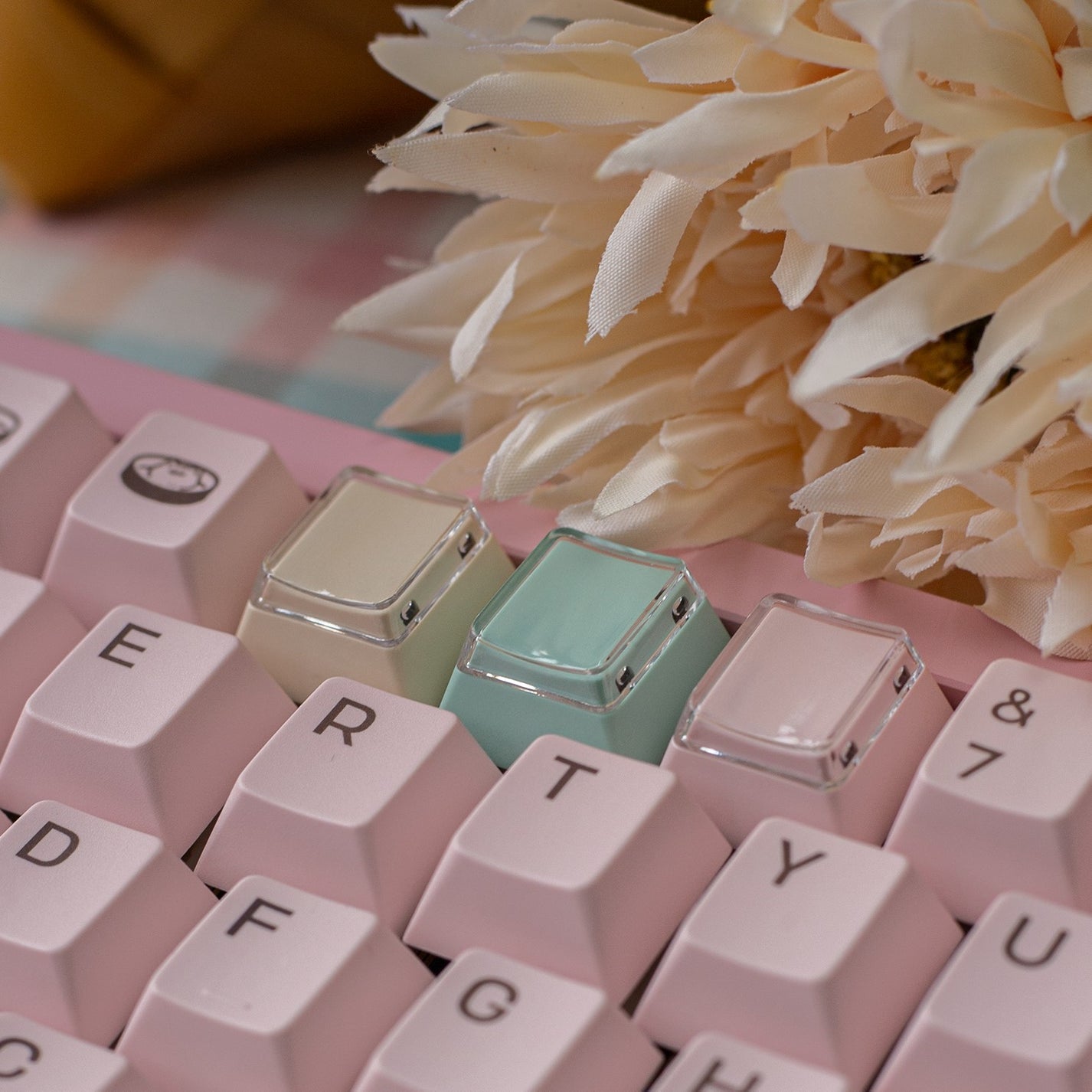 Caddo Meow Keycap Set, Cherry Profile, Dye Sub PBT – Nouvolo